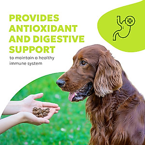 Wholesome Pet Wags Canine Allergy Soft Chews | Dog Allergy Relief Supplements, Anti Itch Bites for Dogs, for Healthy Immune Response, for Itchy Skin, Probiotic Treats | 60 Chews, 180g, 6.35 oz