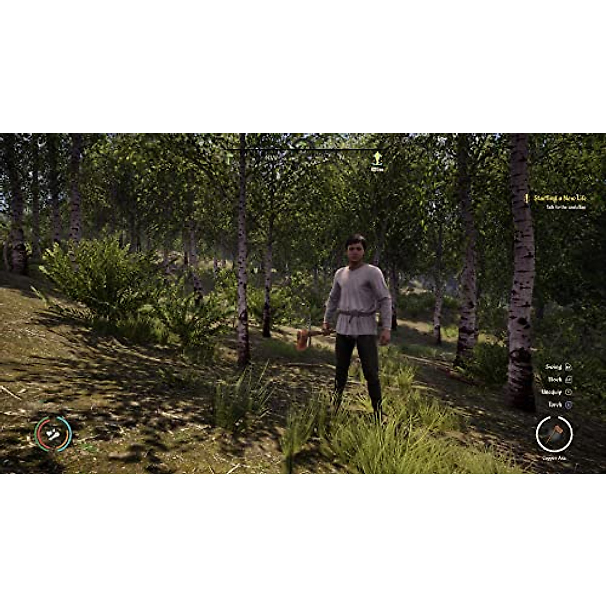 Medieval Dynasty - Xbox Series X