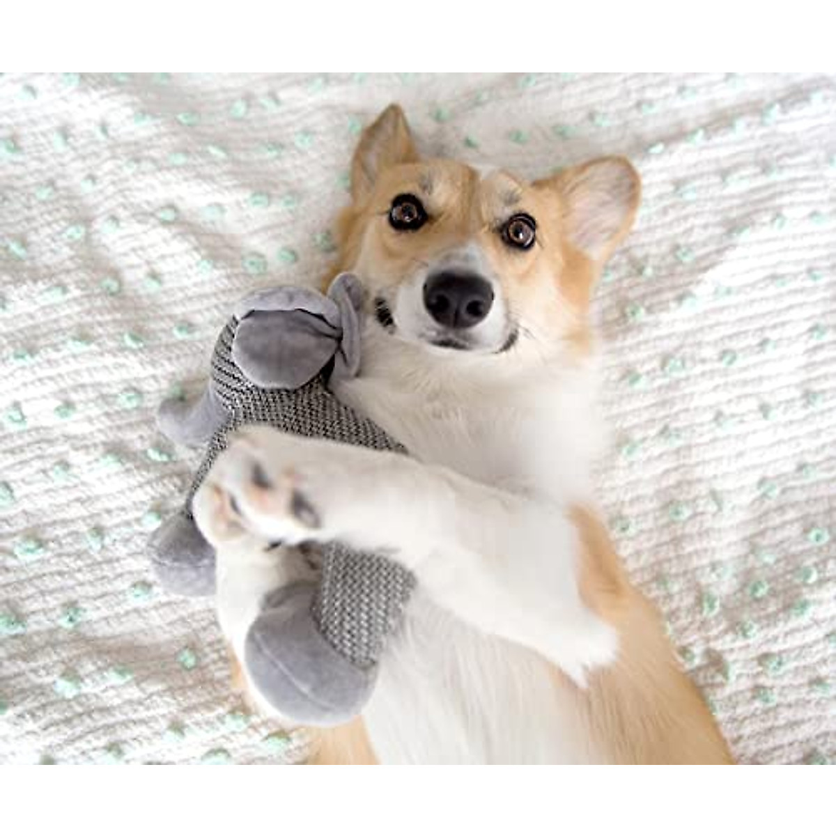 Lily Anne Boutique Woven Cute Dog Toys - Monkey Dog Toy, Elephant Dog Toy, or Sheep Dog Toy - Single or 2 Pack Squeaker Dog Toy - Soft Plush Toys for Light Biters - Dog Chew Toys (Elephant, 2-Pack)