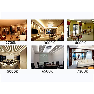 PAR16 LED Bulb Daylight White 6500K, 10 Pack 5.5W 50W Halogen Equivalent Spotlight Bulb, 500LM, Dimmable E26 Base Track Lighting LED for Kitchen