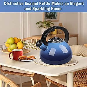 Enamel-on-Steel Tea Kettle Stovetop,2.3 Quart Whistling Tea Kettle with Anti-Hot Folding Handle for All Heat Sources (Blue)