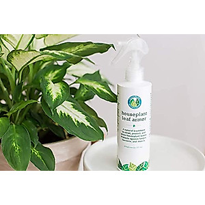 Houseplant Resource Center Plant Leaf Armor – Leaf Shine and Indoor Plant Cleaner Spray – Fortifies and Protects Indoor Plants and Keeps Leaves Green & Gorgeous