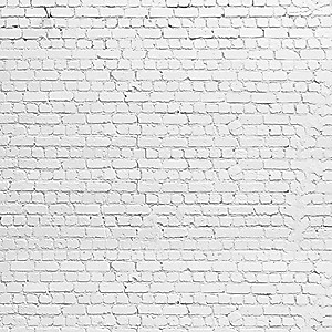 HUAYI 8x8ft Large White Grey Brick Wall Photography Backdrop Party Decoration Vinyl Video Models Background D-2504