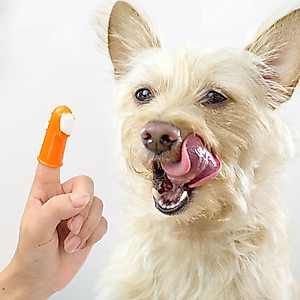 Ralondbey 4PCS/Set Dog Finger Toothbrush for Pet Tooth Tool Pet Small Toothbrush Cat Brush Bad Breath Teeth Care Supplies