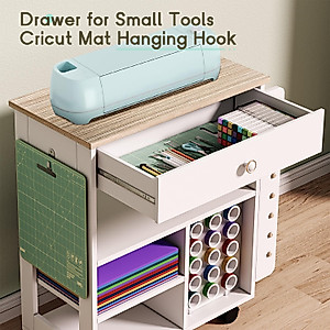 Rolling Craft Organization and Storage Cart Compatible with Cricut, Craft Rolling Storage Organizer with 23 Vinyl Roll Holder, Crafting Cabinet Workstation, by Garfeur