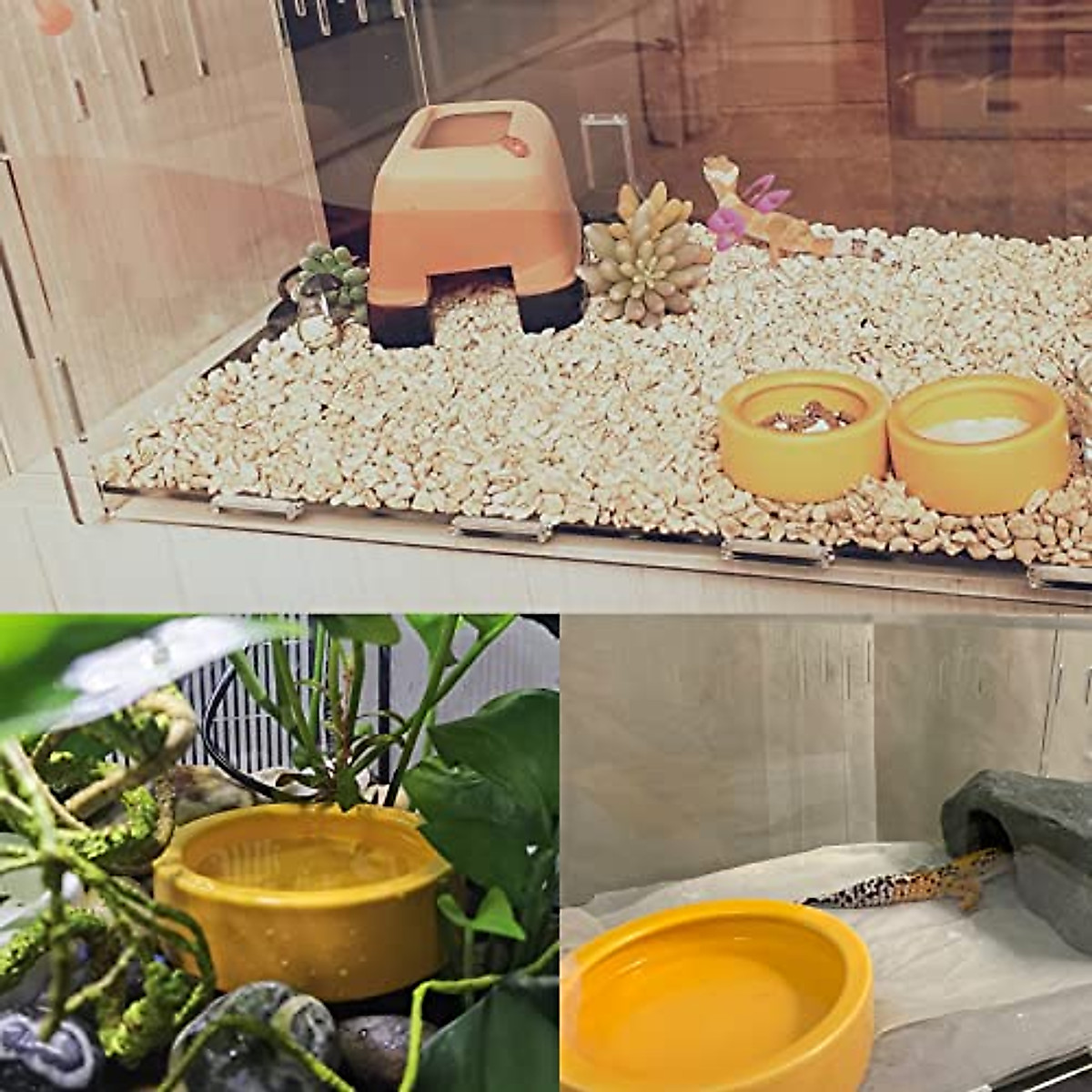 2 Pack Reptile Food Bowls Mini Ceramic Water Feeder Bowl Anti-Escape Mini Reptile Feeder for Lizard Anoles Bearded Dragons Crested Gecko Hermit Crabs