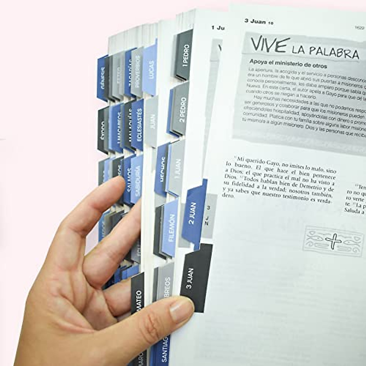 PEZ DE PAPEL Pestañas para Biblia Católica, en español. Catholic Bible Tabs, in Spanish (Azul y gris/Blue and gray)