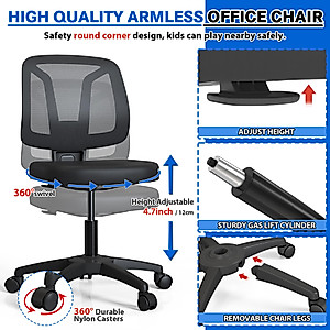 TTD TIANTIANDA Armless Swivel Mesh Computer Office Desk Chair Height Adjustable with Lumber Support for Small Spaces, Black