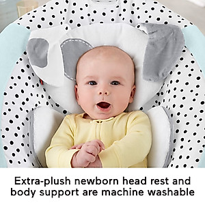 Fisher Price - Deluxe Bouncer Snugapuppy