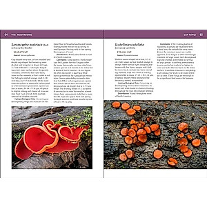 Mushrooms of the Southeast (A Timber Press Field Guide)