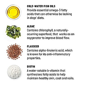 Omega 3 Fish Oil for Dogs Soft Chews 120 ct - Omega 3 for Dogs with Biotin & Vitamin E for Shiny Coat - Dog Skin and Coat Supplement for Itchy, Dry Skin - Shedding Omega 3 6 9 Oil for Dog