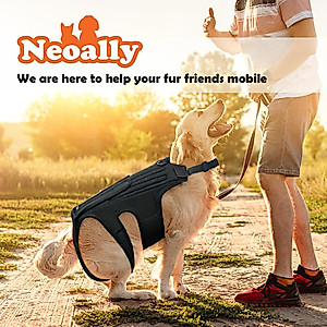 NeoAlly Dog Back Brace for Dogs Arthritis, IVDD, Spinal Surgical Recovery, and Back Disease Prevention (Extra Large)