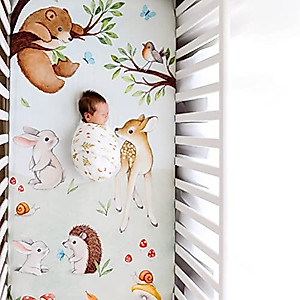 Mini Crib Sheet, Pack n Play or Playard Crib Sheet by Rookie Humans: 100% Cotton Sateen. Use as a Photo Background for Your Baby Pictures. Fits Mini Crib Size (38x24 inches) (Enchanted Forest)