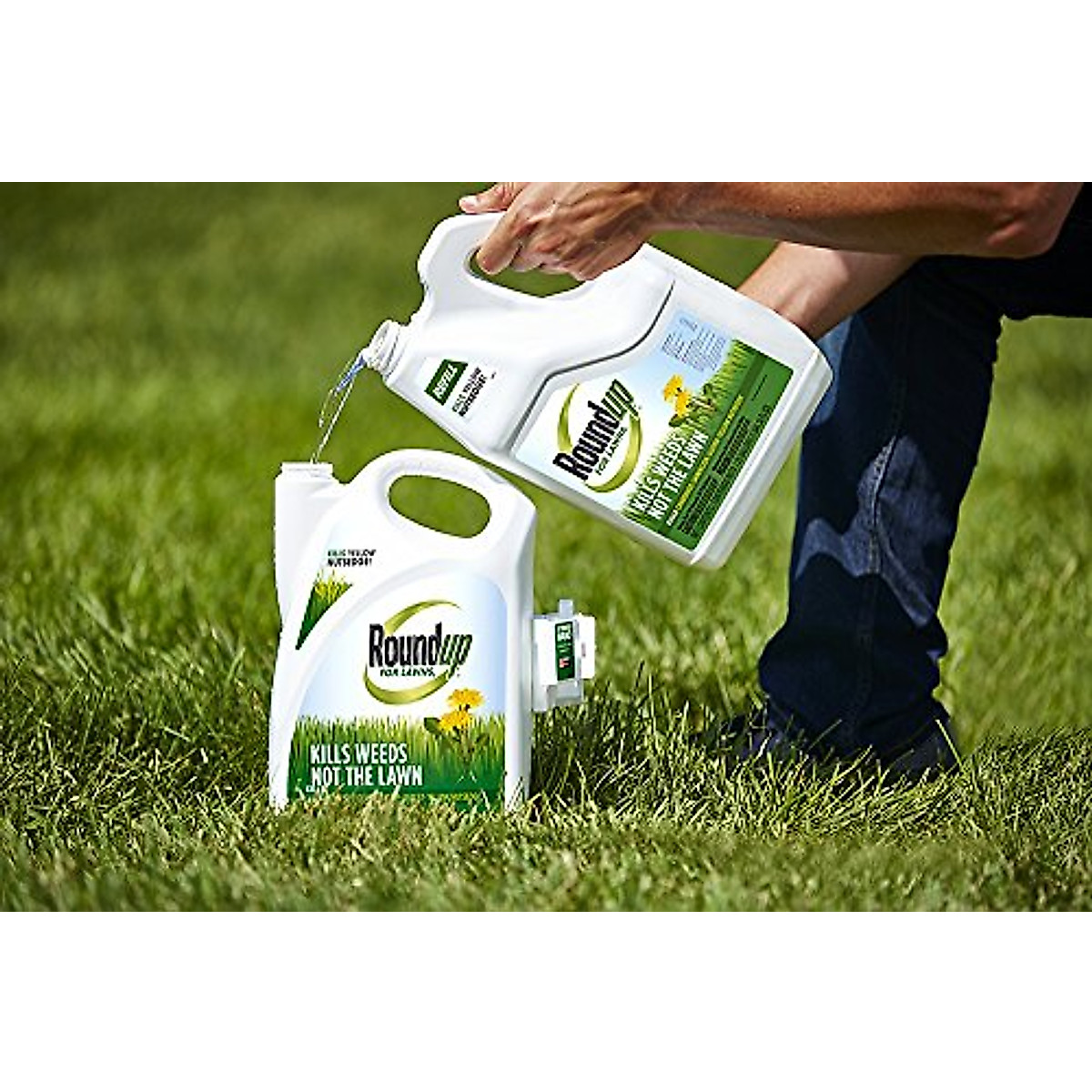 Roundup For Lawns1 Refill (Northern), 1.25 gal. - Lawn Safe Weed Killer For Northern Lawns - Kills Crabgrass, Dandelion, Clover and Yellow Nutsedge - Kills Weeds, Not the Lawn