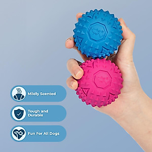 Best Pet Supplies Squeaky Rubber Spiky Ball Dog Toy, Ideal Dog Toys for Chewers, Small, Medium & Large Dogs, and Fetch Lovers Pack of 4 (Fuchsia, Green, Blue, Orange), Medium 2.5"