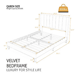 SHA CERLIN Queen Bed Frame/Velvet Upholstered Platform Bed Frame with Headboard/Strong Wood Slats Support/Mattress Foundation/No Box Spring Needed/Easy Assembly/White