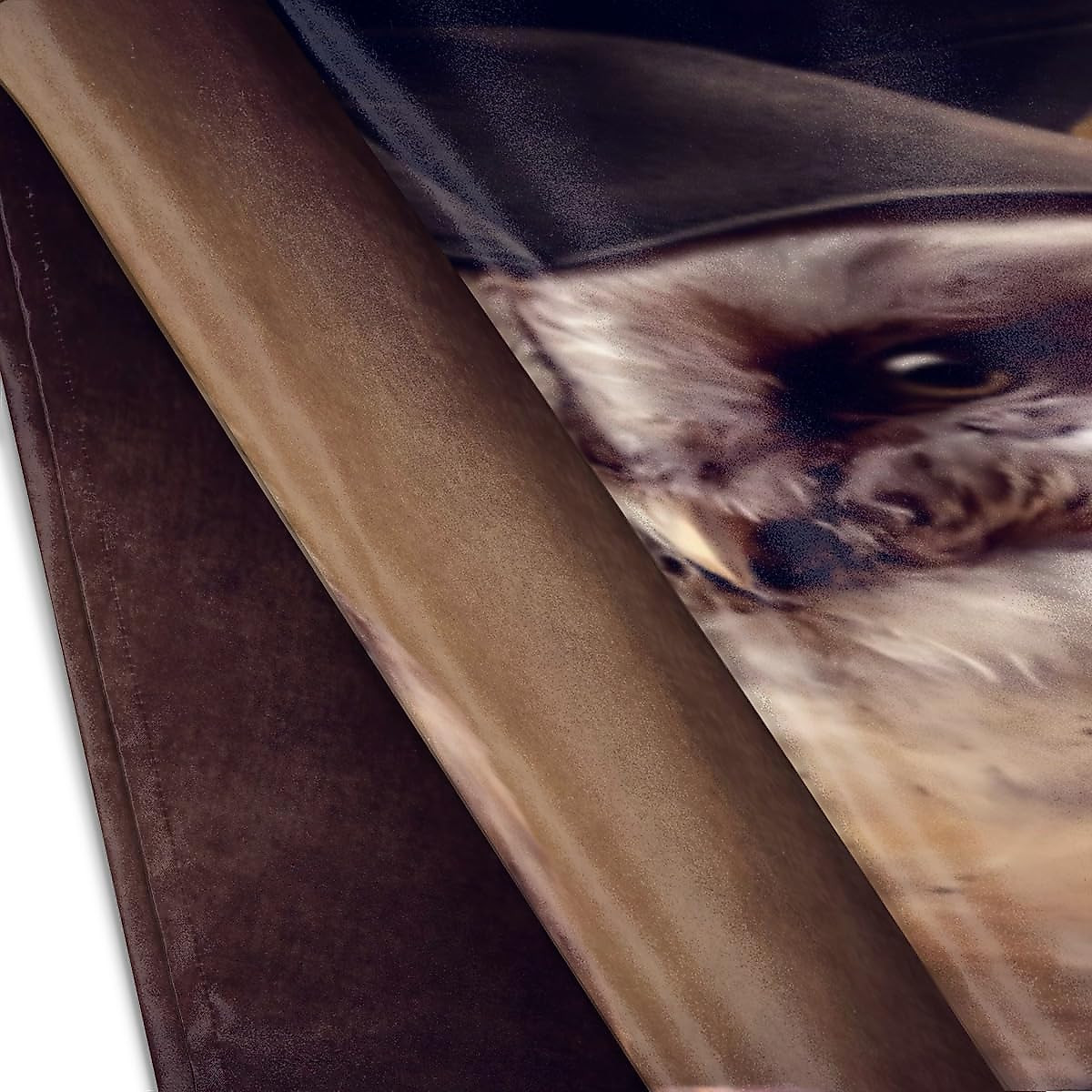 Scholar Owl Bird Satin Pillow Cases Silk Satin Pillowcase for Hair and Skin Standard Set of 2 Super Soft Silk Pillowcase with Envelope Closure (20x26 in)