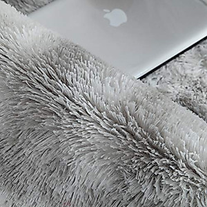 5x8 Light Grey Area Rugs Modern Home Decorate Soft Fluffy Carpets for Living Room Bedroom Kids Room Fuzzy Plush Non-Slip Floor Area Rug Fluffy Indoor Carpet