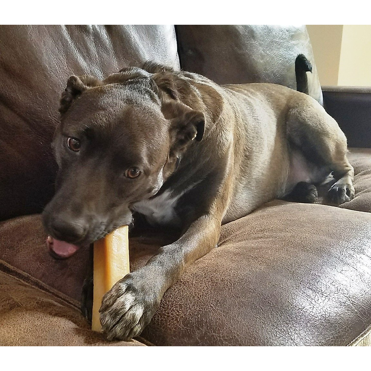 Authentic Himalayan Yak Cheese for Dogs - XLarge (Pack of 2) - Sourced from Pristine Himalayan Foothill, Rawhide-Free, NO preservatives