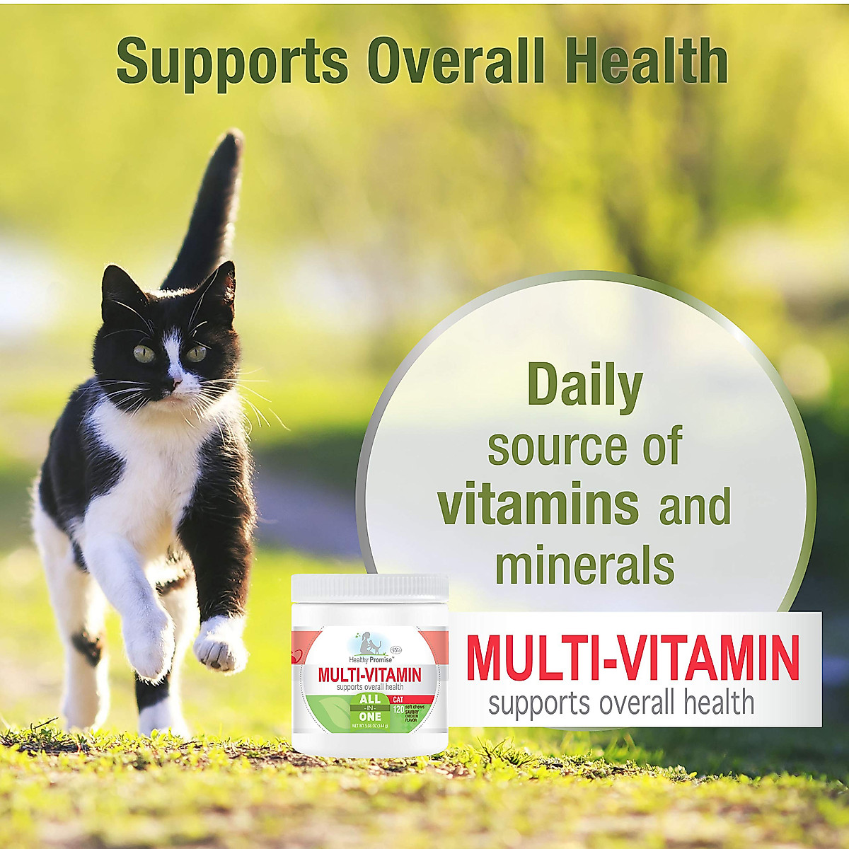 Four Paws Healthy Promise Cat Multivitamin Soft Chews 120 Count