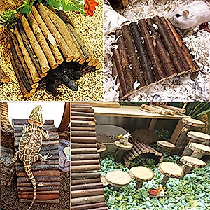 Tfwadmx Wooden Hamster Bridge, Extra Large - Small Animal Bendy Bridge Tunnel Hut Hideout Ladder Hideaway Climbing Chew Toy for Gerbil Guinea Pig Chinchilla Rabbit Ferret Hedgehog Rat Gerbil