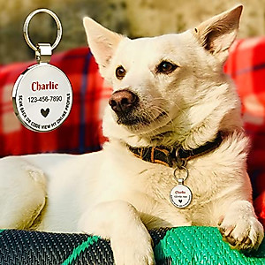 MYLUCKYTAG Personalized Pet ID Tags Dog Tags - QR Code ID Tags - Pet Online Profile - Send Pet Location Alert Email When Scanning