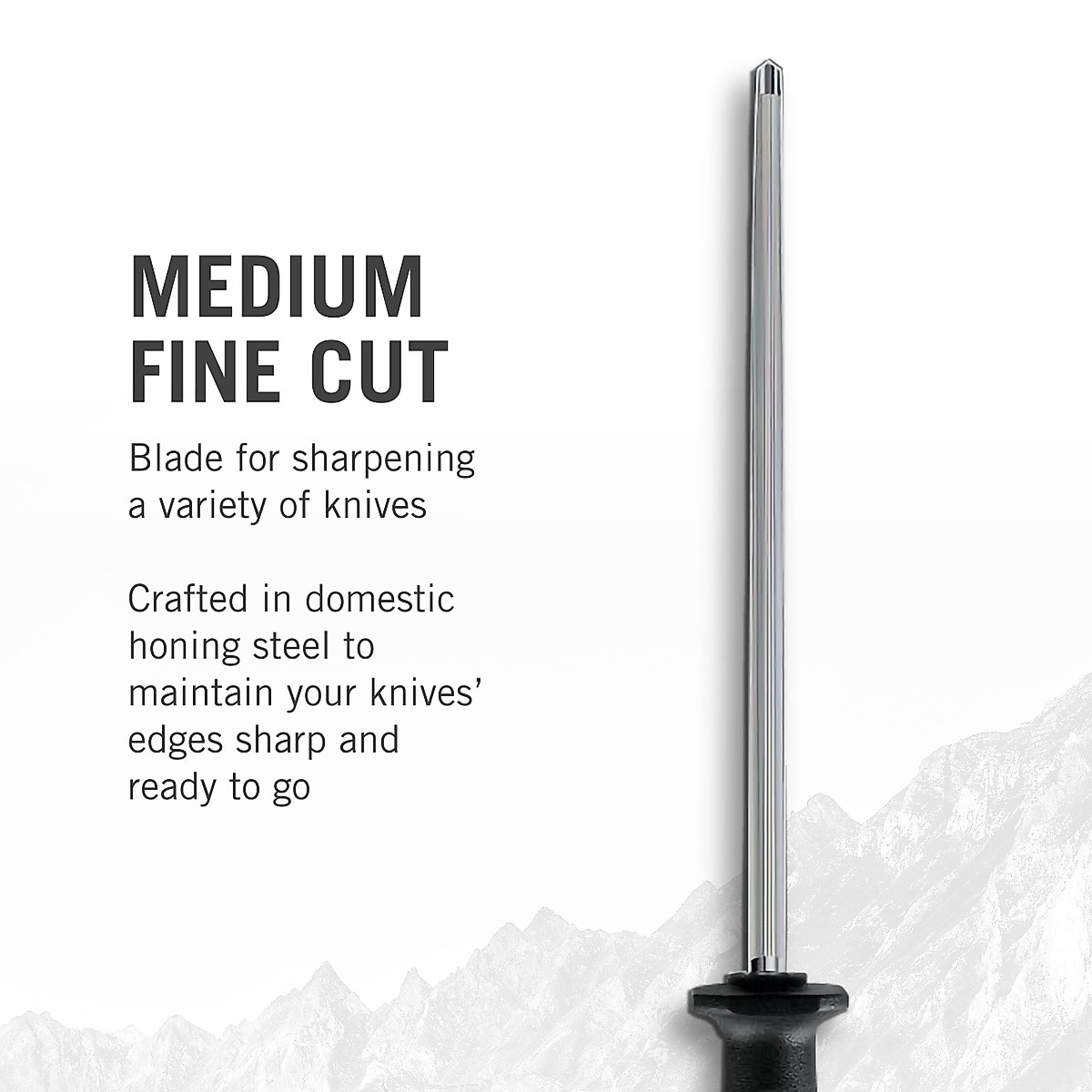 Victorinox Swiss Army Cutlery Swiss Classic Fibrox Honing Steel, 10-Inch, Multicolor (6.8002.US1)