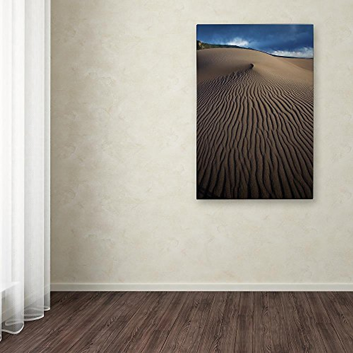 Desert Design by Dan Ballard, 30x47-Inch Canvas Wall Art