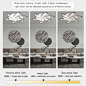 Ceiling Fan with Lights Remote Control, Bladeless Remote Control Ceiling Fans, 32.28" White Ceiling Fan with Light for Bedroom Living Room Kitchen