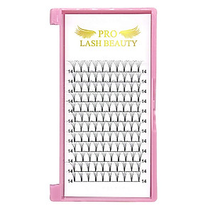 PRO LASHBEAUTY Premade Volume Eyelash Extensions 5D, D Curl, 0.10mm, 14mm, Vegan, Individual, False Eyelash Extensions