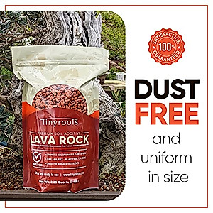 Tinyroots Red Lava Rock for Plants, 2.25 Quarts, Sifted Bonsai and Cactus Soil Additive, Maintains Proper Moisture, Used for Top Dressing, Volcanic Rock, No Dyes or Chemicals