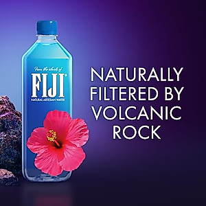 FIJI Natural Artesian Bottled Water 1 Liter / 33.8 Fl Ounce (Pack of 12)
