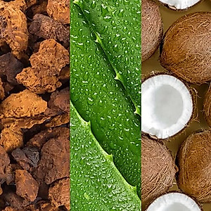 Mario Badescu Setting Facial Spray Mist with Aloe & Coconut Water, Refreshing and Hydrating Makeup Spray, Alcohol Free, Fragrance Free, Dye & Sulfate Free