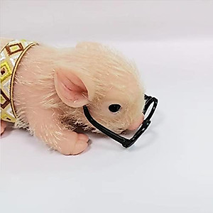 IDOREBORN Silicone Piglet Accessories-No Piglet Included (Piget Glasses)