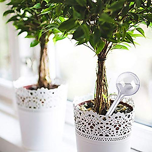 Jnynhha 6PCS Clear Plant Watering Bulbs,Automatic Watering Globes,Plastic Self Watering Bulbs Ball for Plant,Garden,Indoor Outdoor Decoration