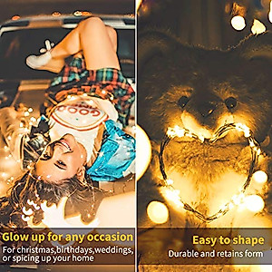 Fairy Lights Plug in, 100Ft 300LED Waterproof Firefly Lights on Copper Wire - UL Adaptor Included, Starry String Lights for Wedding Indoor Outdoor Christmas Patio Garden Decoration, Warm White