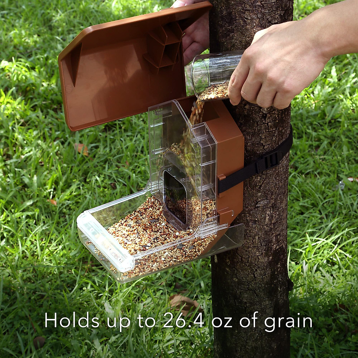 Wasserstein Bird Feeder Camera Case Compatible with Blink, Wyze, and Ring Camera for Bird Watching with Your Security Cam - (Camera NOT Included)