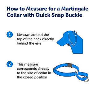 PetSafe Martingale Collar with Quick Snap Buckle, 1" Large, Royal Blue