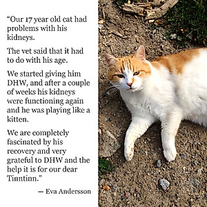 Double Helix Water for Pets Pack of 3