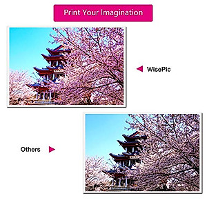 WisePic Remanufactured Ink Cartridge Replacement for Epson 312 XL 312XL T312 T312XL to Use with Expression Photo XP-8500 XP8500 Printer (2 Black)