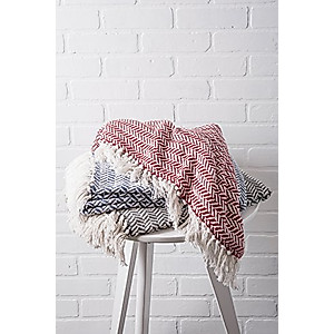 DII Modern Farmhouse Cotton Herringbone Blanket Throw with Fringe for Chair, Couch, Picnic, Camping, Beach, & Everyday Use, 50 x 60 - French Blue