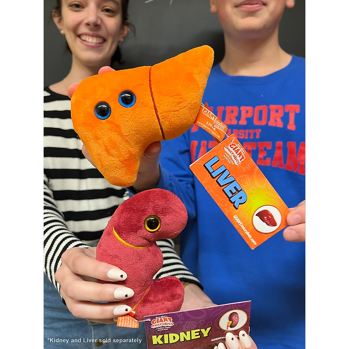 GIANTmicrobes Stuffed Liver Plush, Liver Stuffed Animal, Anatomical Liver, Hepatologist Gift, Liver Transplant Gifts, Hepatitis Gift, Hepatology Gift, Cirrhosis Gift, Liver Pillow, Liver Donor Gift