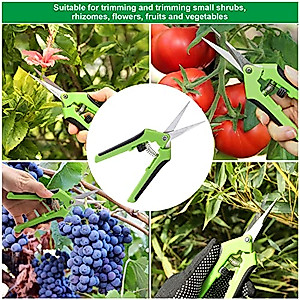 Fixm Pruning Shears for Gardening, Heavy Duty Garden Pruner for Plant, Shrubs, Bonsai Tree. Gardening Hand Scissors Set for Plant Fruit Trimming with Garden Gloves, Grafting Tape, Replacement Spring