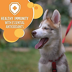 IAMS Smart Puppy Large Breed Dry Puppy Food with Real Chicken, 30.6 lb. Bag