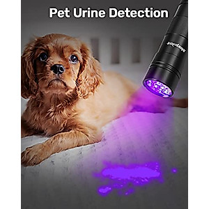 morpilot Blacklight Flashlights uv Flashlight: 12 Led 395nm 2 Pcs Black Light Flashlight Mini, Pet Urine Detector Light for Dog/Cat, Dry Stains, Resin Curing, Bed Bug