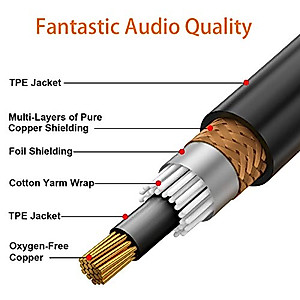 tisino RCA to 1/4 Cable, Dual RCA to Dual 1/4 inch TS Stereo Audio Interconnect Cable Patch Cords - 3.3 feet
