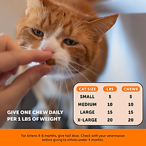 Pet Honesty Cat Hip & Joint Health & Digestive Probiotics Bundle: Glucosamine Chews & Max Strength Probiotic for Gut Health (Chicken 30-Day Supply & 120 Scoops)