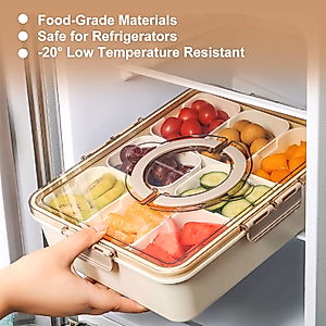 Platters-Snackle Box Charcuterie Container,Divided Serving Tray with Lid and Handle for Fridge,Snack Box Container Portable,8 Compartment Fruits Candy Veggie Trays,Perfect for Party Travel Picnic