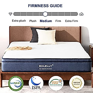 Molblly Queen Mattress, 10 Inch Hybrid Mattress in a Box, Gel Memory Foam Mattress,Individually Wrapped Pocket Coils Innerspring Mattress, Non-Fiberglass,Queen Size Mattress, 60x80x10 Inch,