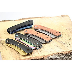 Wartech Buckshot Knives PBK220 Thumb Open Spring Assisted Tanto Cleaver Pocket Knives (PBK222DS)